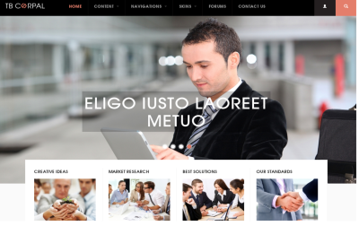 10 Best Drupal business themes - Drupal News - admin